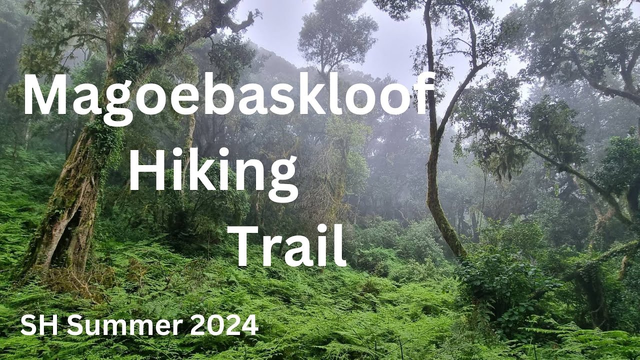 South Africa, Limpopo, Magoebaskloof Hiking Trail - YouTube