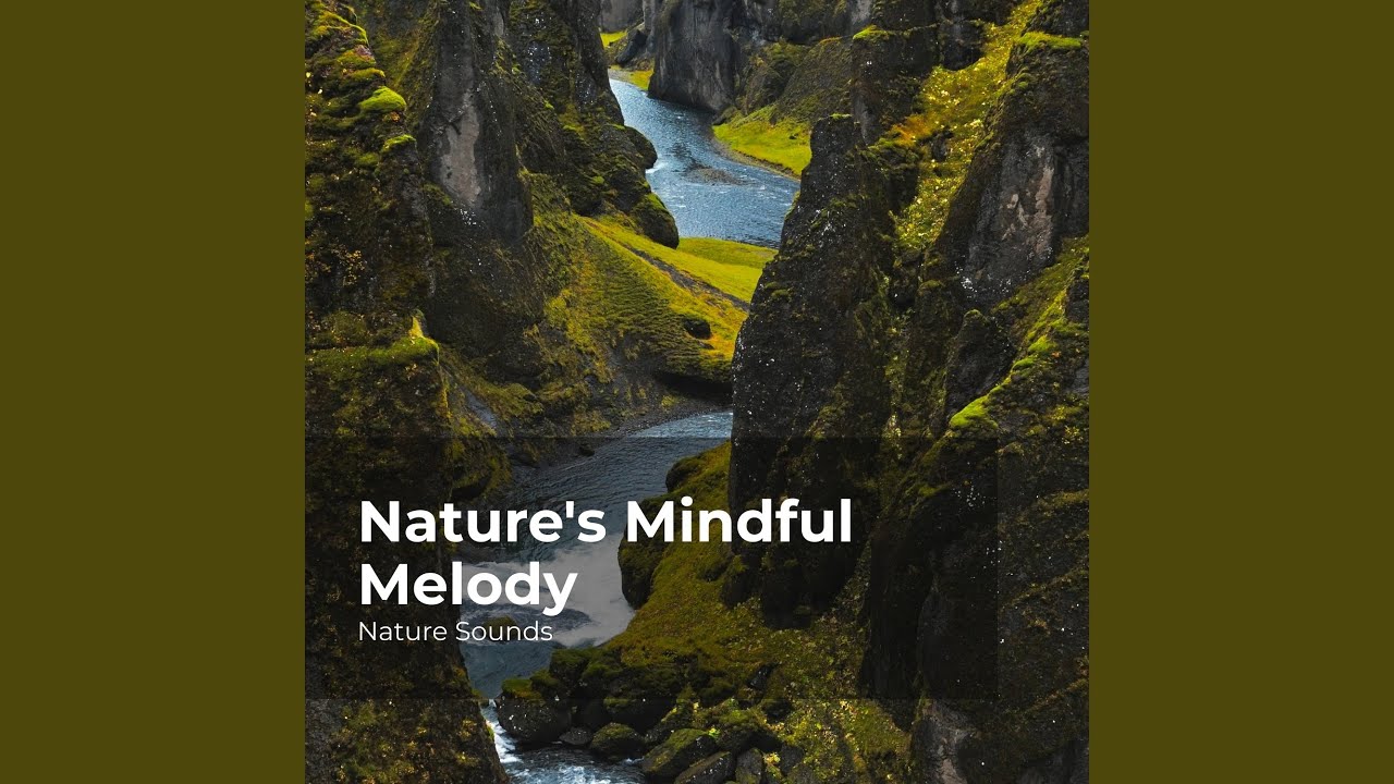 Steady Ocean Waves - YouTube Music