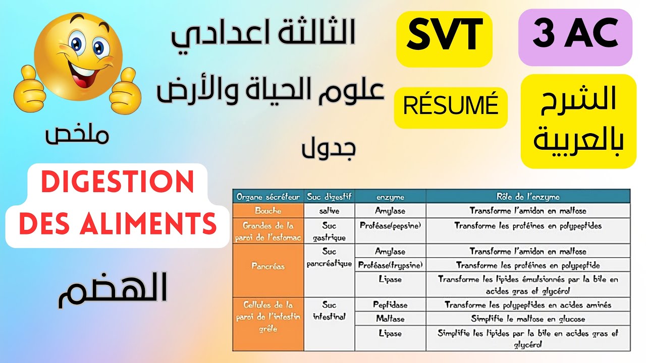 |SVT/3AC (ثالثة إعدادي) | Synthèse : Digestion des aliments #svt # ...