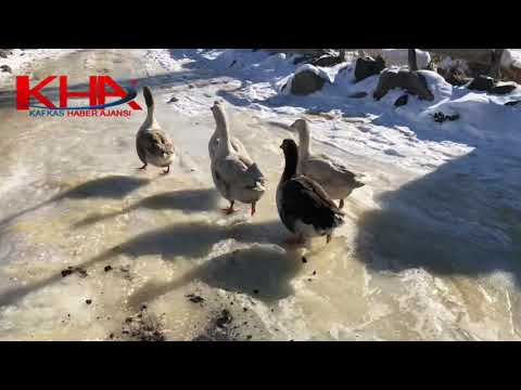 Kars kazının buzla imtihanı