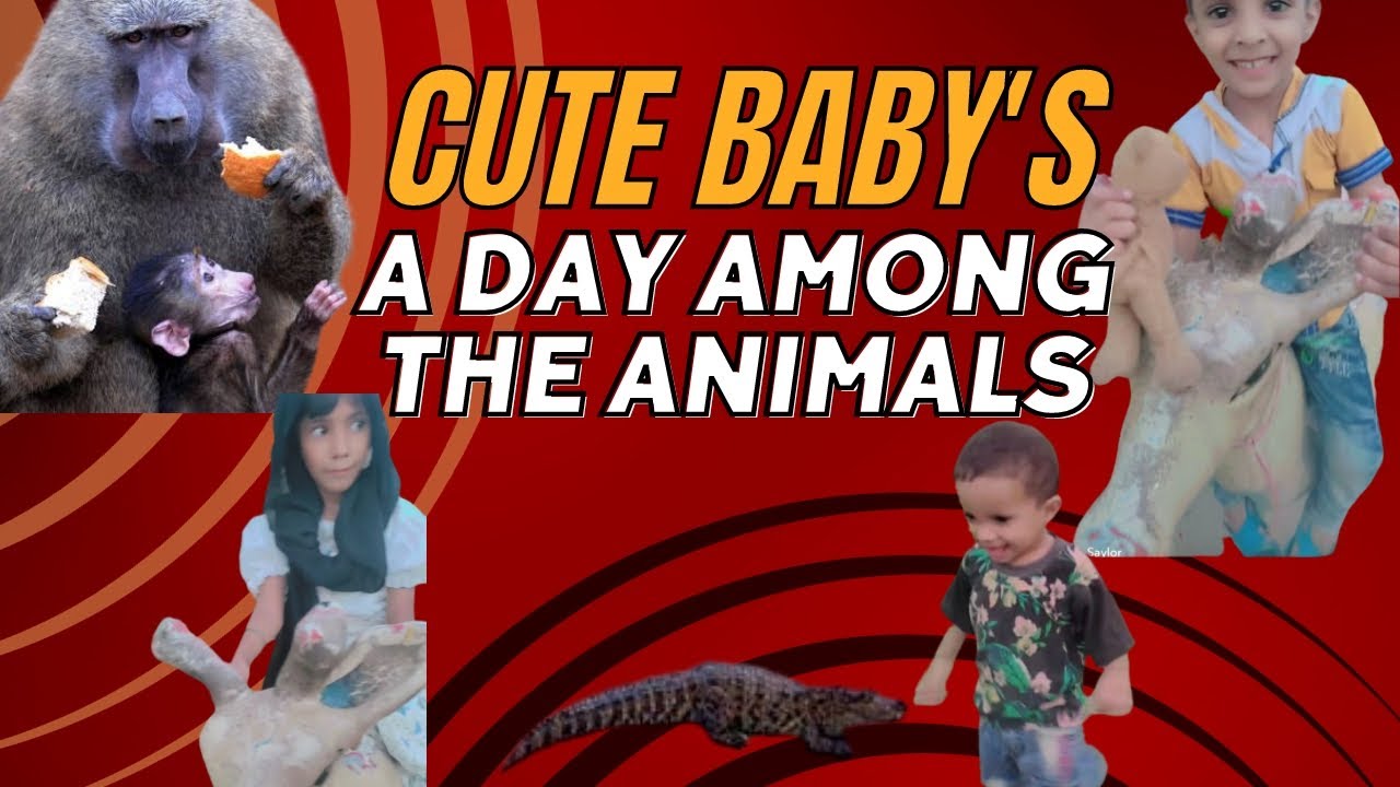 Cute Baby's A Day Among The Animals💕🐊|bacho ka din janwaro k sath|# ...