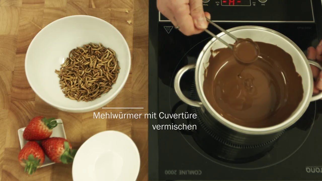 Insekten essen mit Snack-Insects - Cooking with edible insects ...