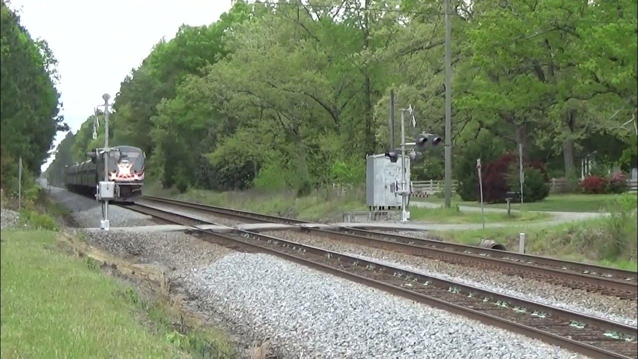 CSX P 080 25 Amtrak 80 The Carolinian By Langford 4-25-24 Eng 160 50th anniversary Eng leads ...