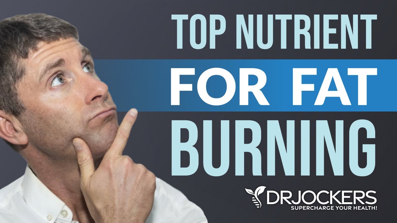 The Most Important Nutrient for Fat Burning! - YouTube