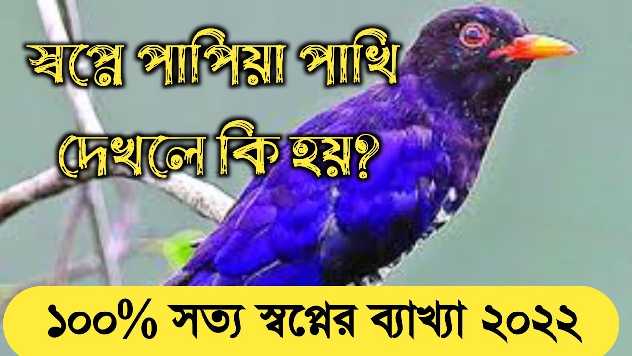 স্বপ্নে পাপিয়া পাখি দেখলে কি হয়? || papiya pakhi dekhle ki hoi ...