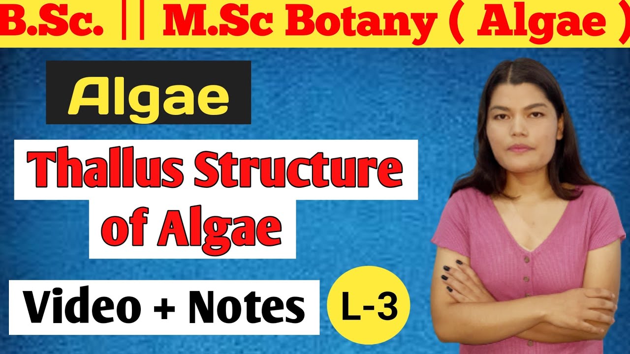 Thallus structure of algae | MSc Botany | BSc 1st year Botany | - YouTube