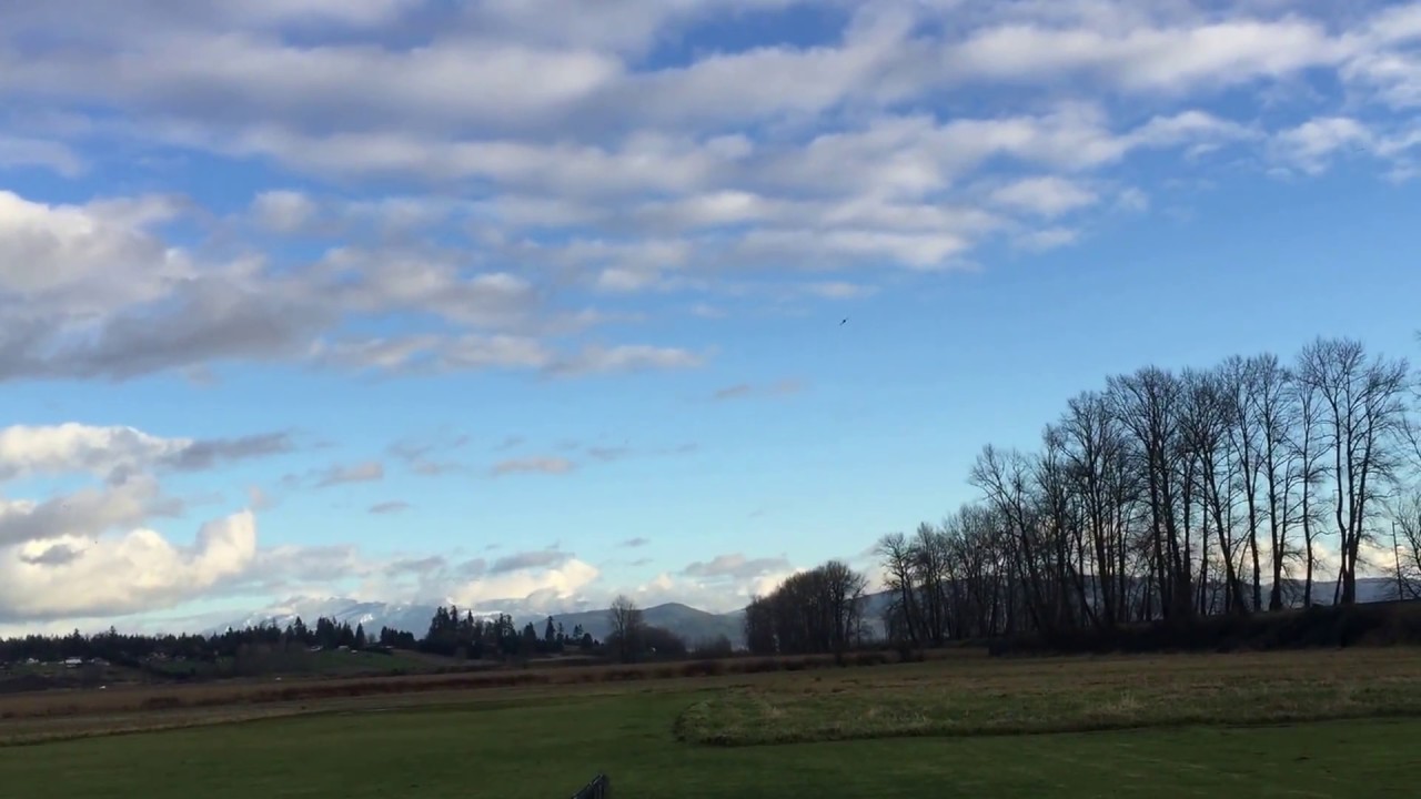 CARF P 51 Kolm - YouTube