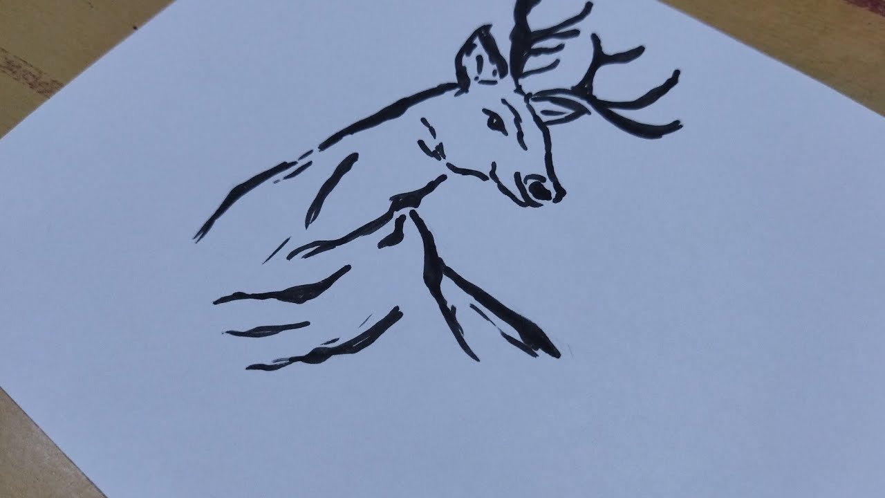 deer pic | how to draw deer | easy way to draw deer | simple deer ...