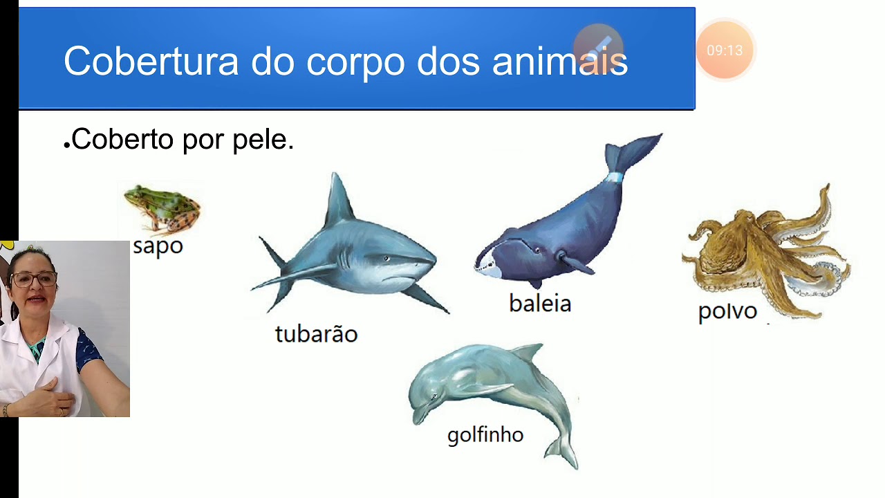 Atividades Cobertura Do Corpo Dos Animais 3 Ano - BRAINCP Atividades Cobertura Do Corpo Dos Animais 3 Ano - BRAINCP