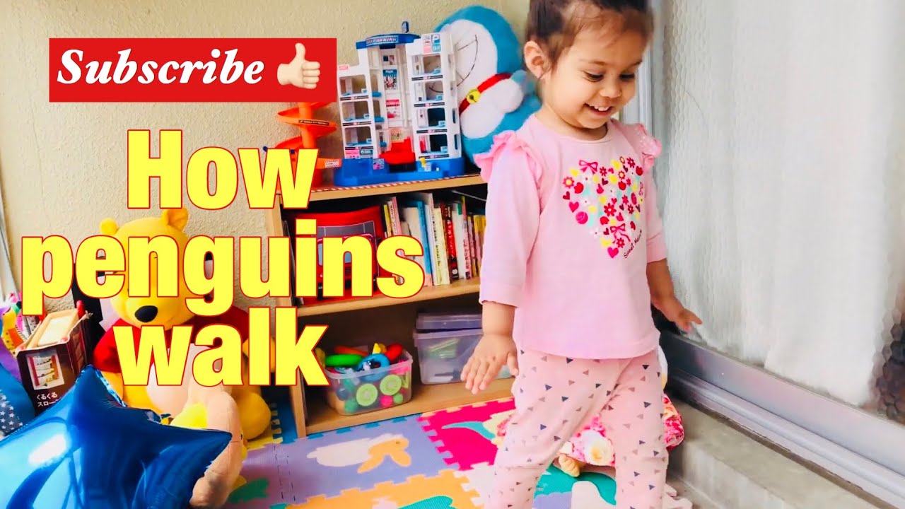 How penguin walks | পেন্গুইন কিভাবে হাটে । - YouTube