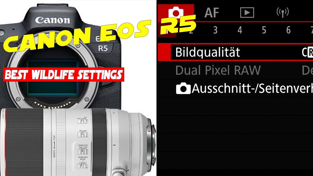 Best Wildlife Settings - Canon EOS R5 - YouTube