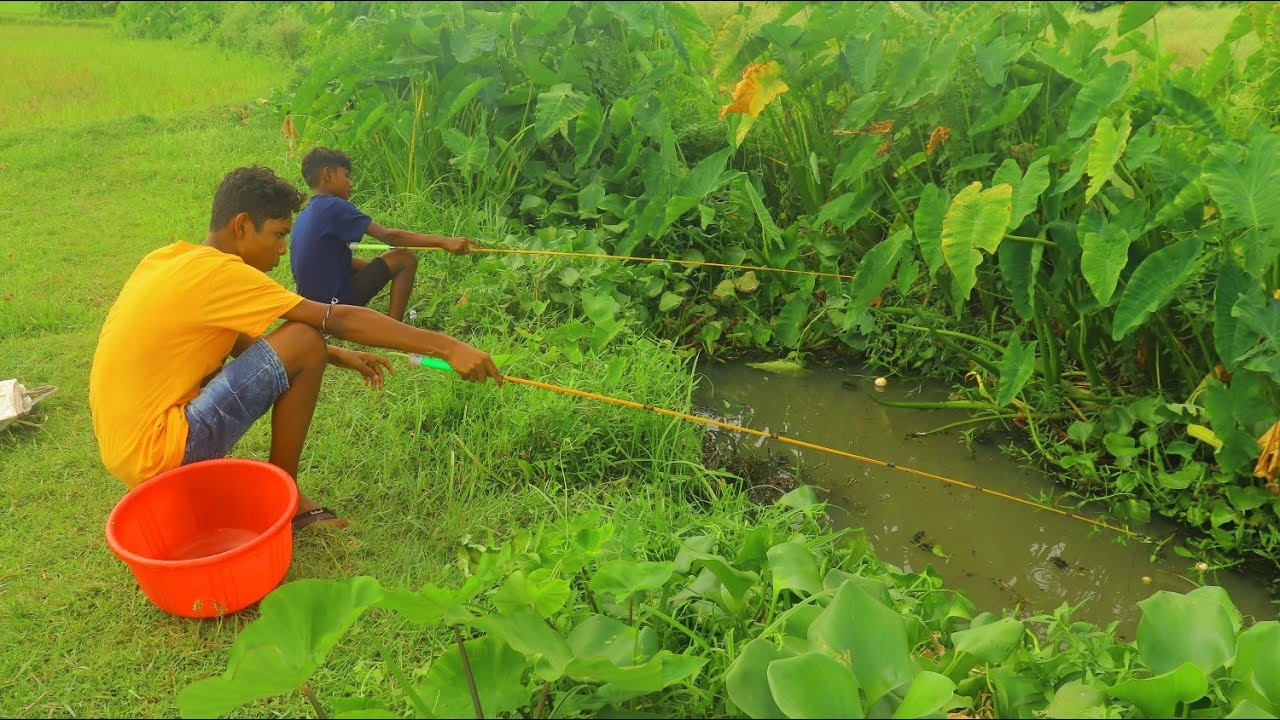 Fishing Video || Traditional village boys are enjoying fish catching in ...
