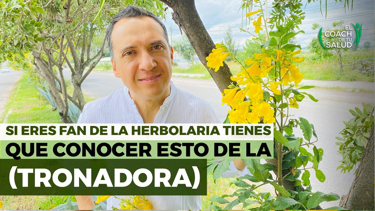 Si eres fan de la herbolaria tienes que conocer esto de la Tronadora ...