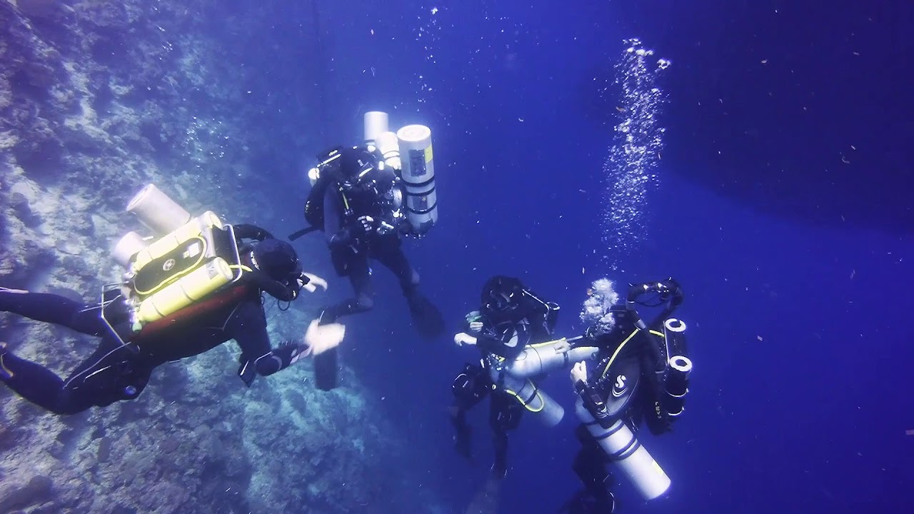 [Study English in the Philippines] Sardine Storm (Moalboal) by Kevin ...
