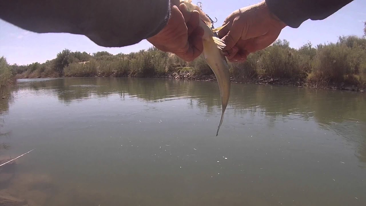 Blythe CA. Backwater bass fishing - YouTube