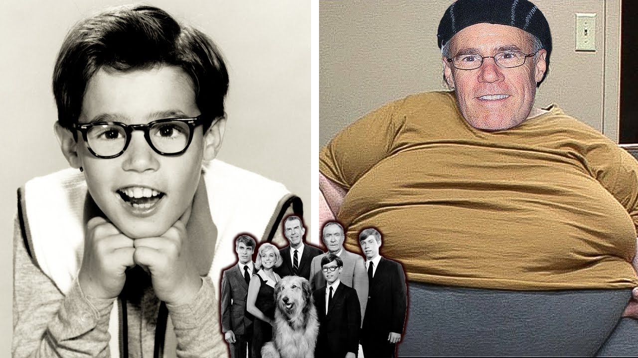 MY THREE SONS 1960 Cast THEN AND NOW 2023 Thanks For The Memories After ...