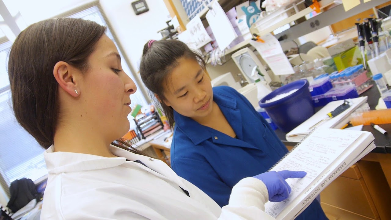 Animal Research Training Videos Increase Productivity & Safety in UCLA ...