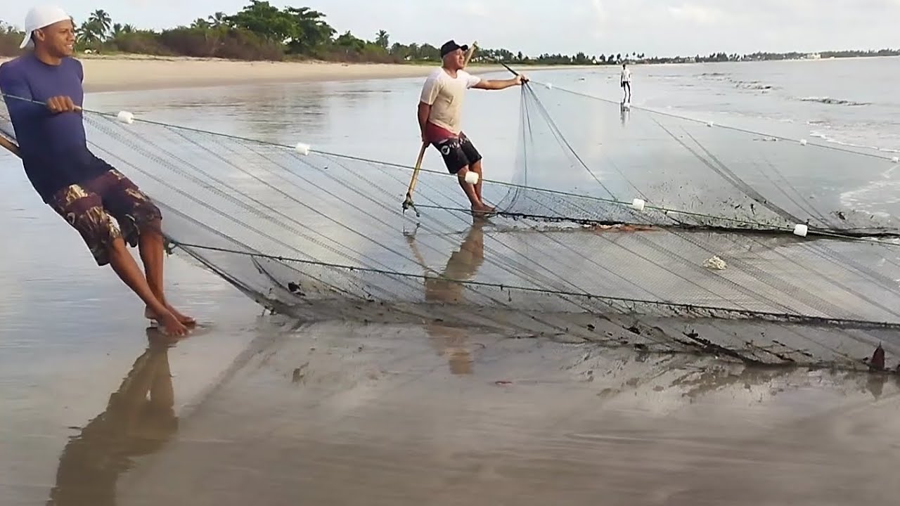 PESCARIA COM REDE DE ARRASTO EM LUCENA #pescaria#redes#pesca#beach ...