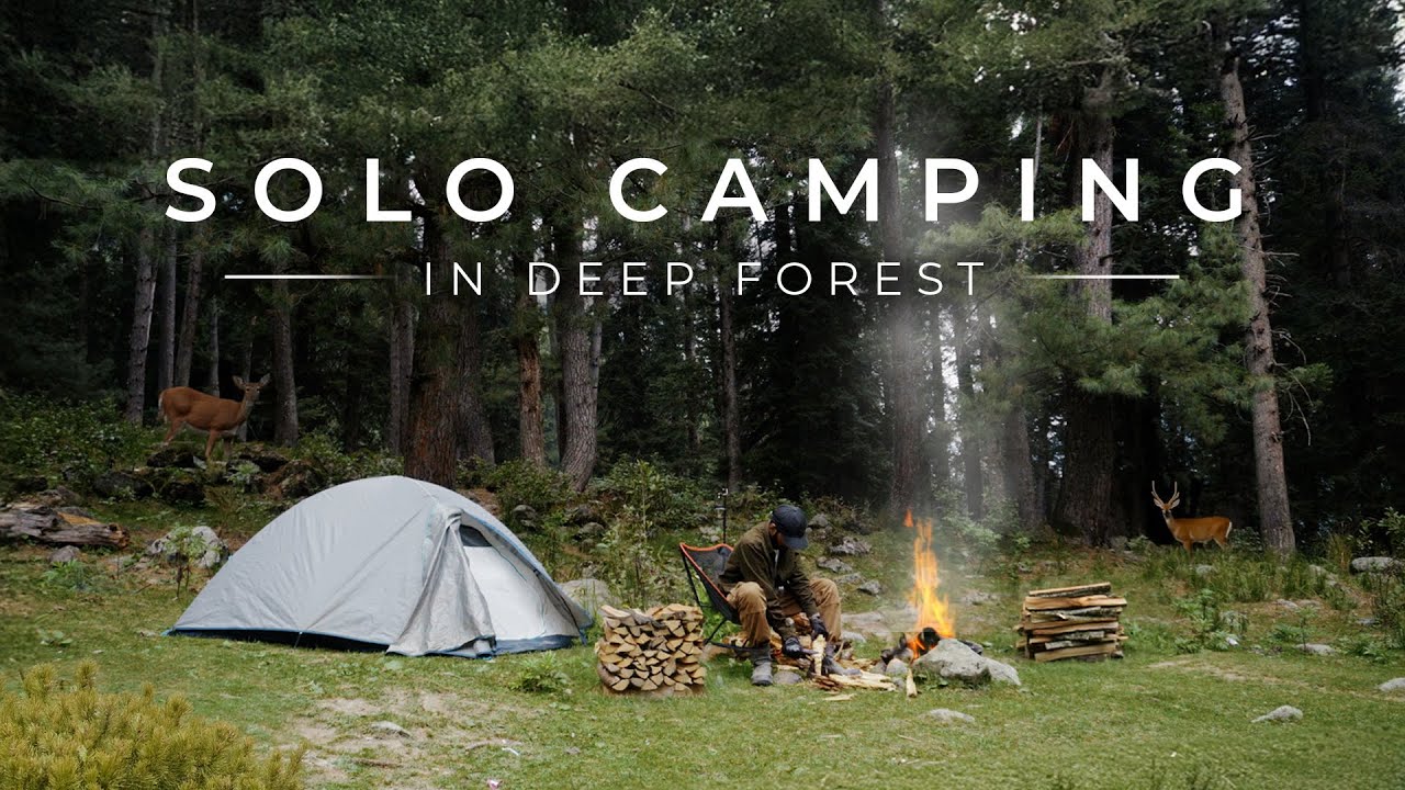 INDIAN Solo Camping in deep forest | Camping in Wild | Relaxing forest ...