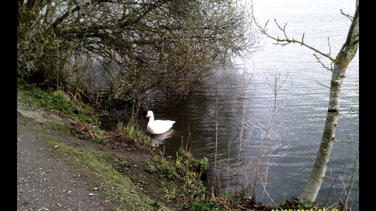 doffcocker lodge Bolton - YouTube