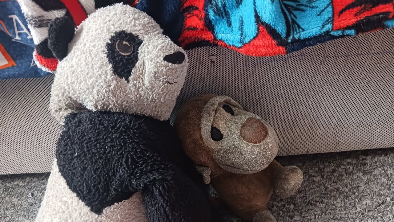 monkeys day | panda bear snaps as monkey no 2 almost gets ran over ...