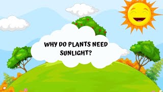 Why do plants need sunlight? | How Does Sunlight Help Plants Thrive?