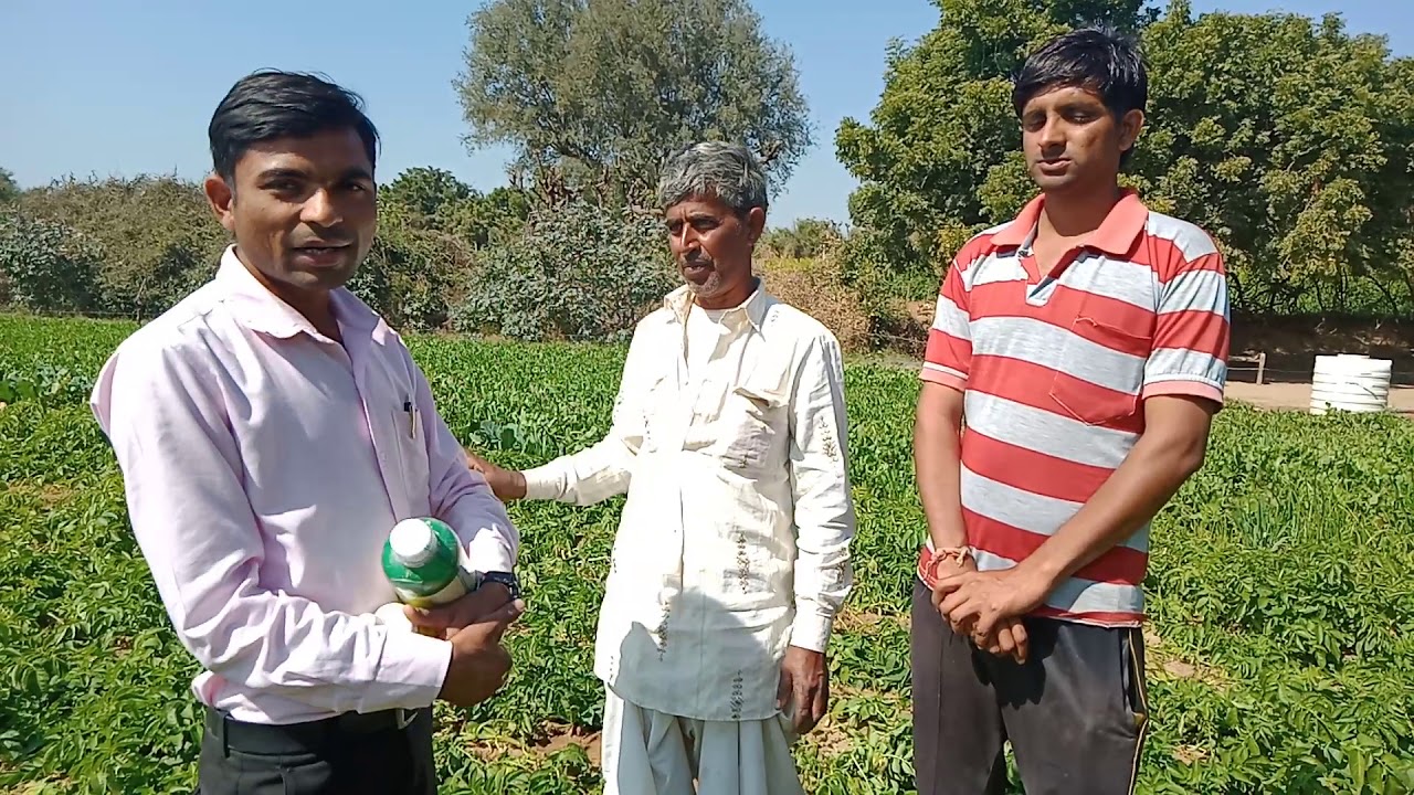 Bataka{ Alu } Deesa Netsurf biofit results 9726307753 - YouTube