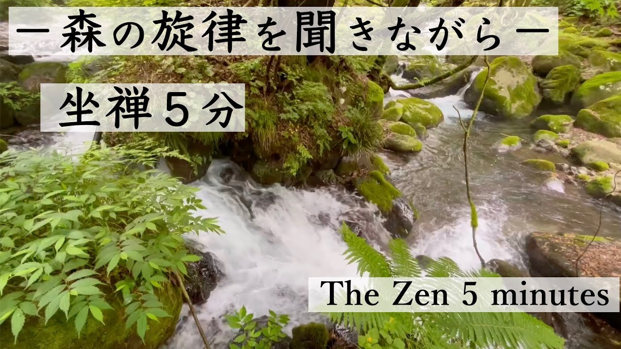深緑の中で、森が奏でる旋律を聞きなら坐禅 Session 1 坐禅 タイマー5分 Zazen "Japanese Meditation" 5 ...