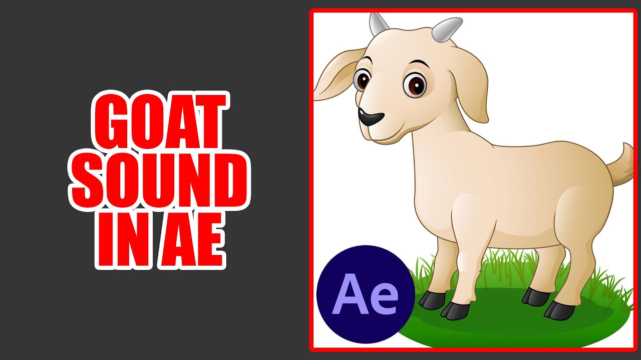 Secret Reveal || Goat Sound in Ae || Adobe Shorts - YouTube