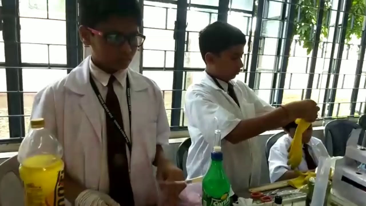 Science Exhibition / Students doing experiment on chemistry in science ...