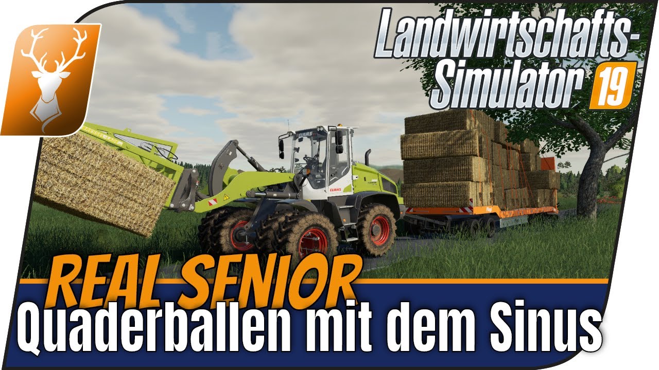 LS19 Map Real Ellerbach #25- Jetzt zittert auch noch der Radlader durch ...