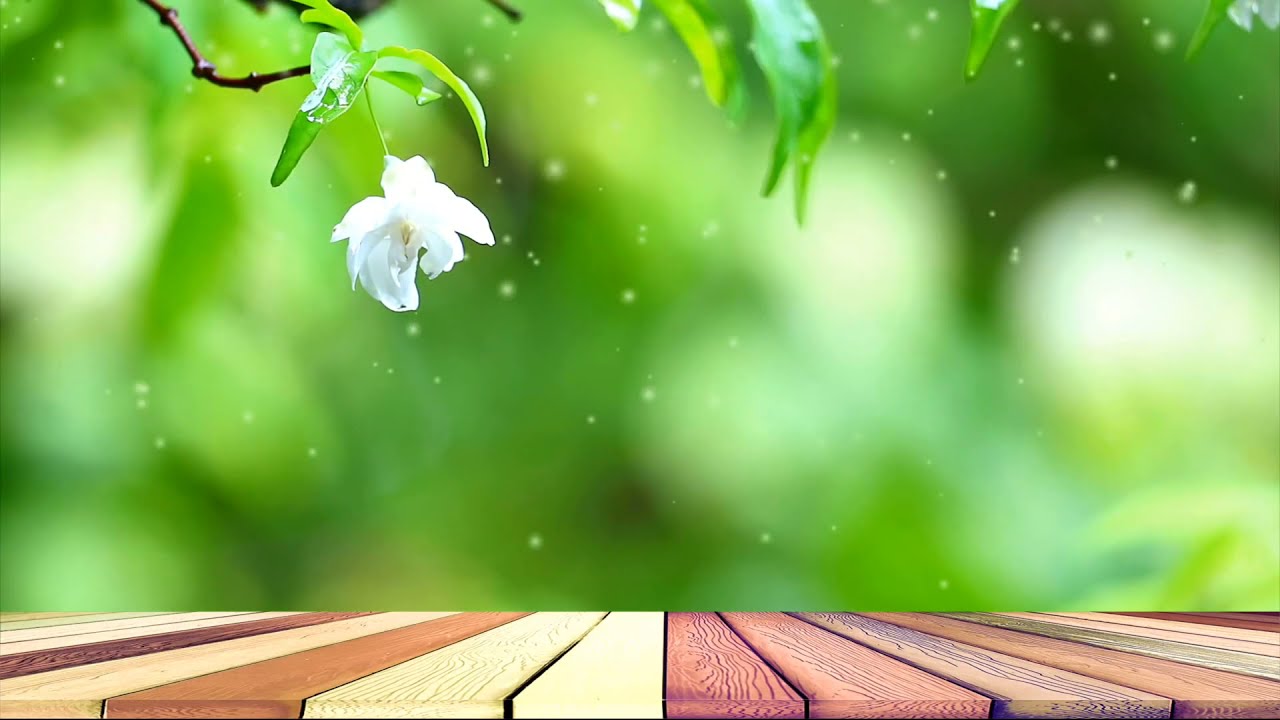 Beautiful Japanese Music | Koto Music & Shakuhachi Music Chords - Chordify