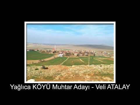YAĞLICA KÖYÜ Muhtar Adayı-- VELi ATALAY