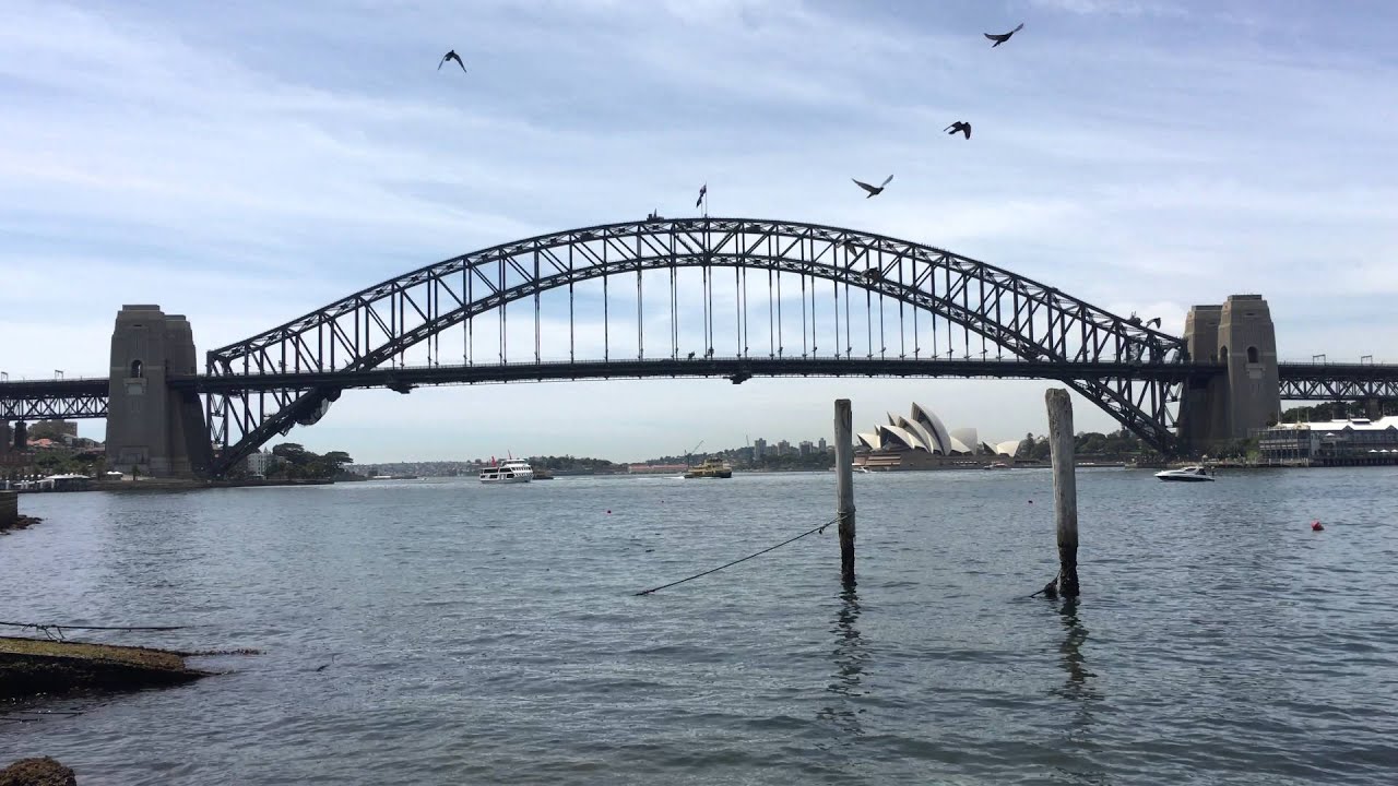 Sydney Harbour 4K UHD Video Screensaver - YouTube
