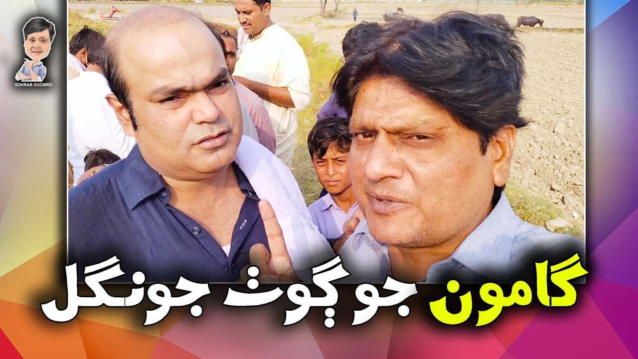 Gamoo With Sohrab Soomro | Gamoo | Asif Pahore | Ali Gul Mallah ...