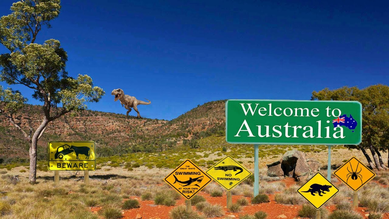 Cryptids of Australia pt:1 - YouTube