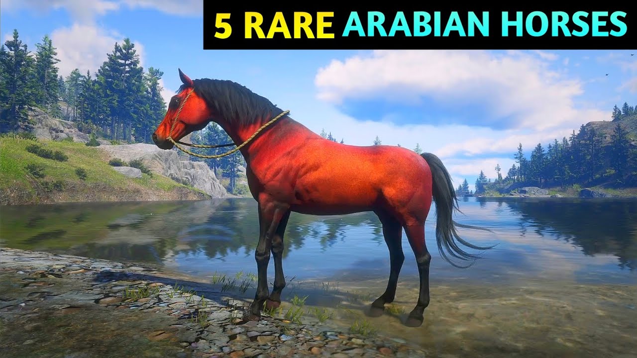 5 Rare & Fastest Arabian Horse Locations - RDR2 - YouTube