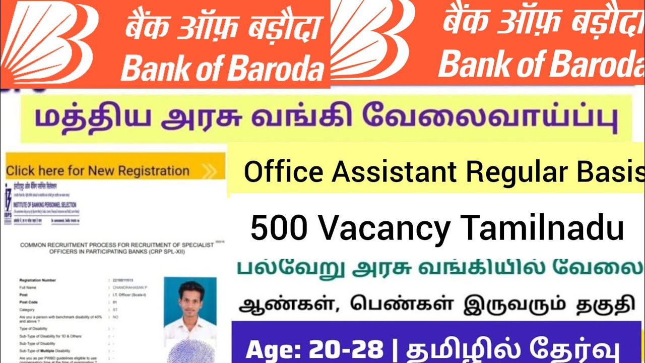 bob bank job apply online 2025 | bob bank job vacancy 2025 - YouTube