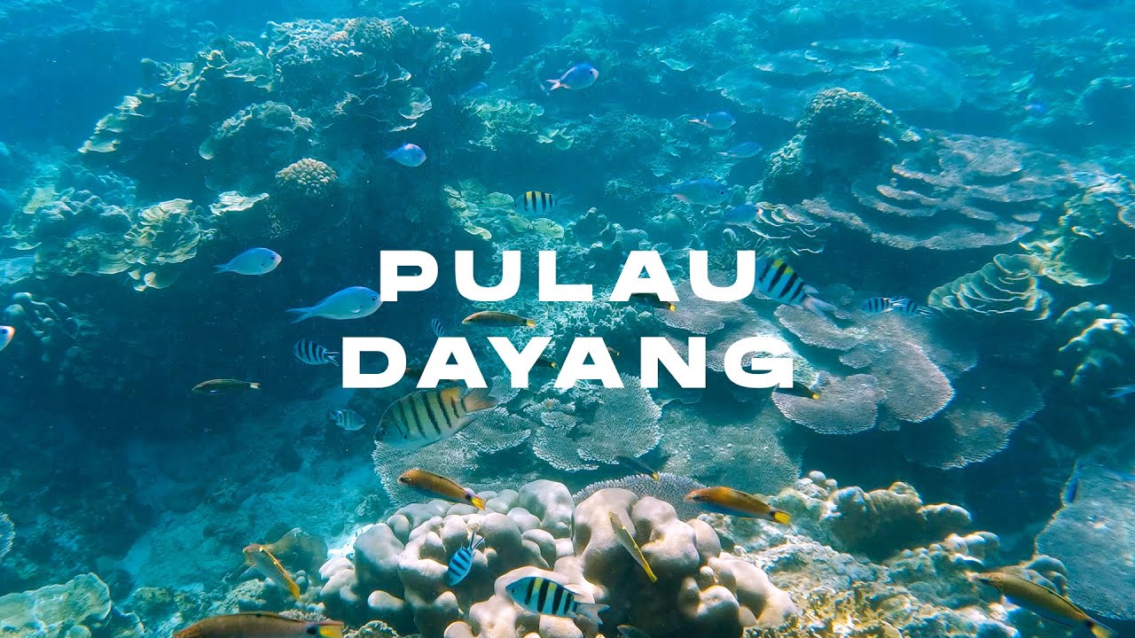 Amazing Coral Reefs in Pulau Dayang & Pulau Aur - Mersing - Gopro Hero ...