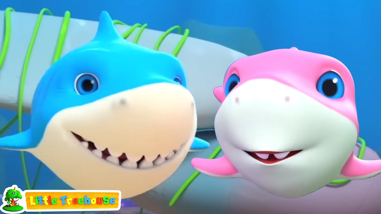 Baby Shark Song, Animal Cartoon + More Children Rhymes - YouTube