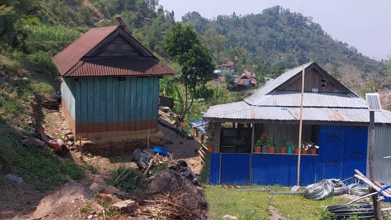 Peace and Greenery of Mountain Nature - YouTube