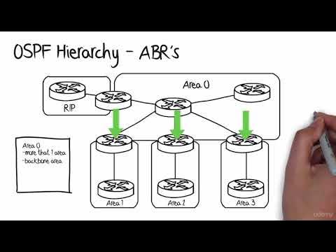 2 ospf Part 2 basic ( understand ospf via Animation visual form) #ospf #ccie #cisco - YouTube