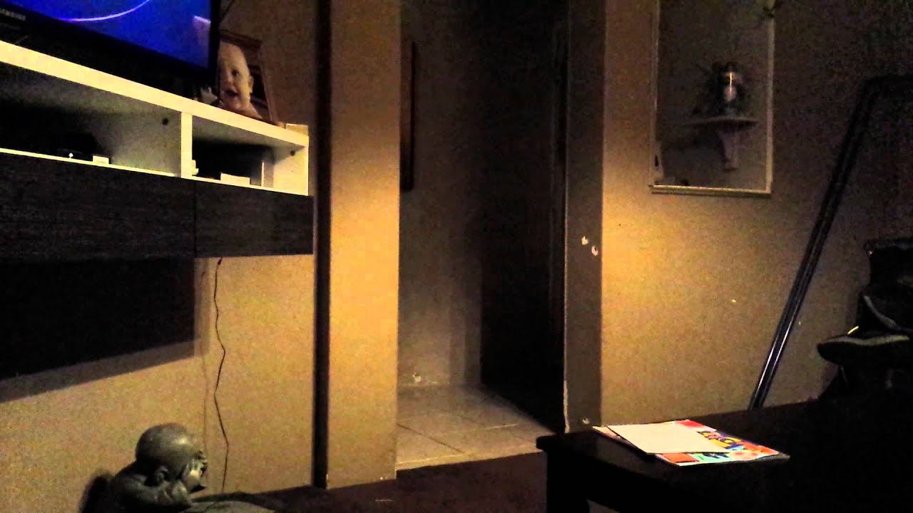 Tuna the dog is scary - YouTube