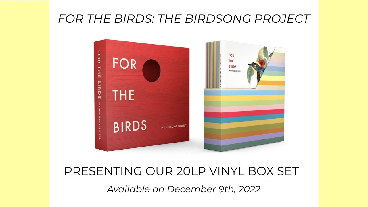 For The Birds: The Birdsong Project - Unboxing the 20 LP Box Set - YouTube