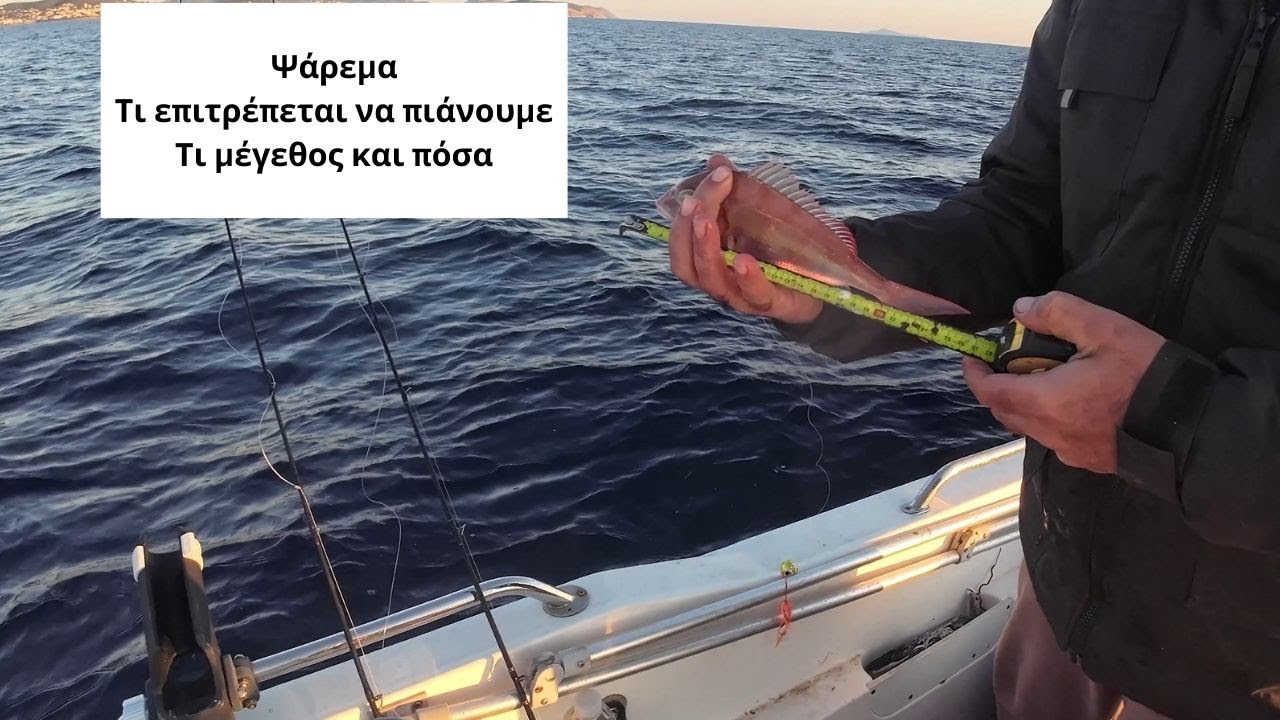 ψάρεμα και επιτρεπόμενα μεγέθη ψαριών - YouTube