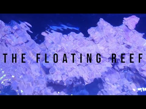 FLOATING REEF TANK Episode 1 Trailer - Reefsaddict / Gilbert's Reef ...