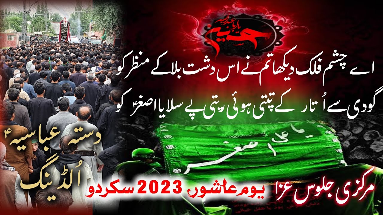 A chasham e falak dekha. Tum ne is dasht e bala k manzar ko / Ashura ...