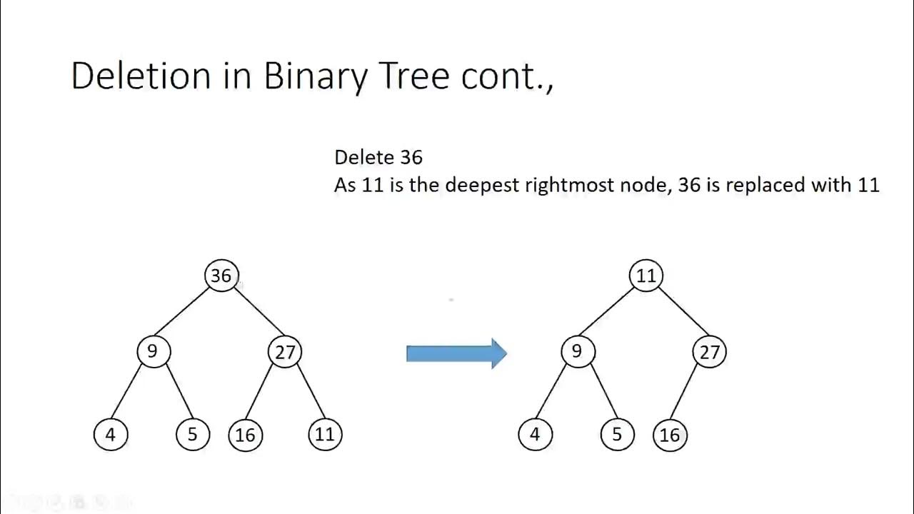 Binary Tree - YouTube