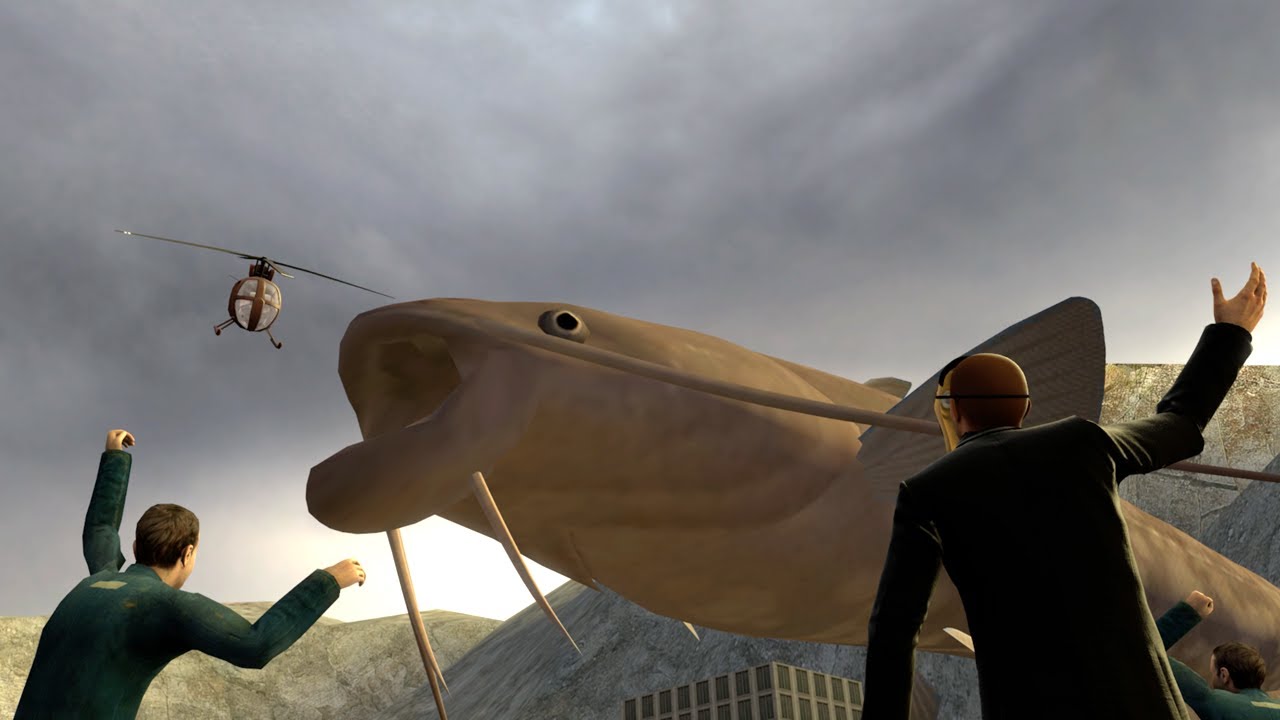 The Fish 19 - YouTube