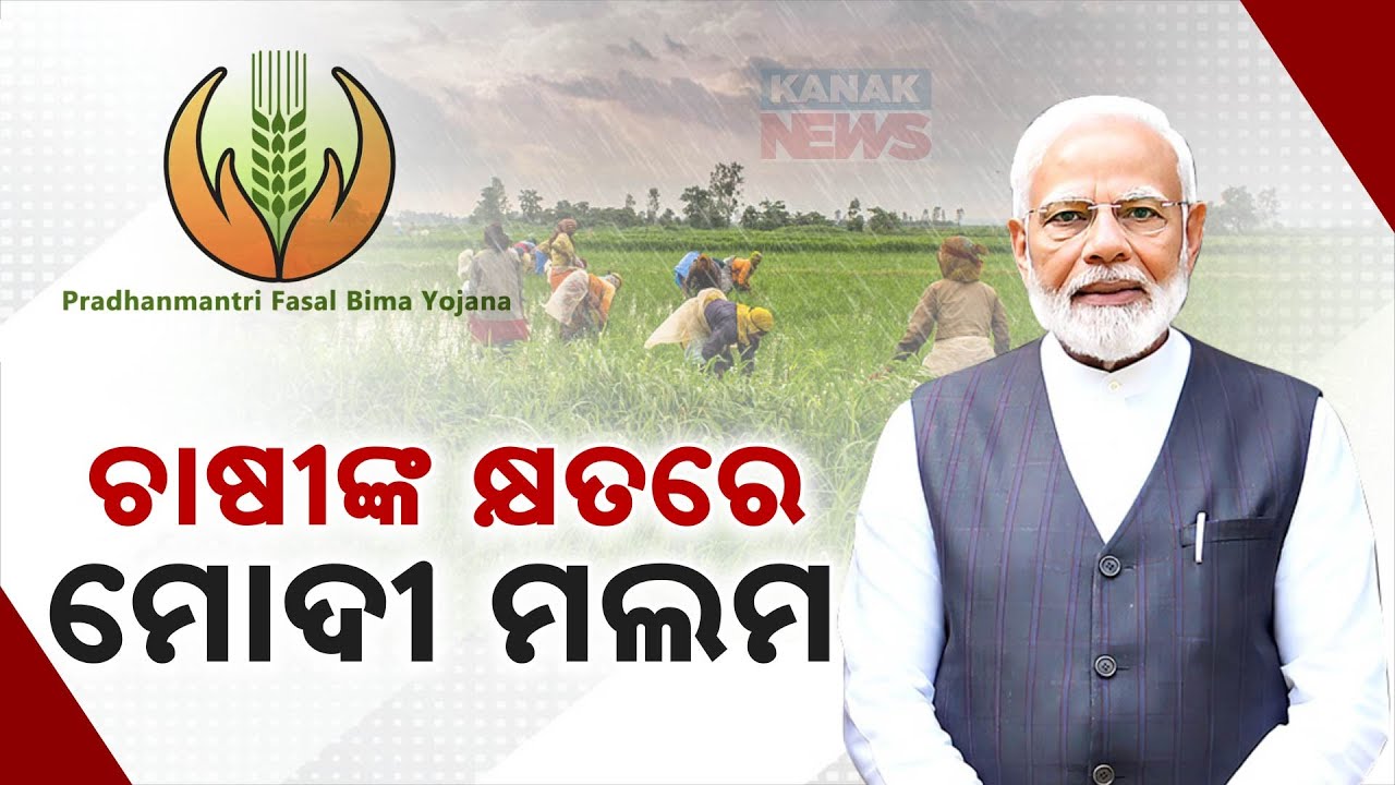 Modi Govt's Big Step: Crop Insurance Scheme Expanded To Benefit ...
